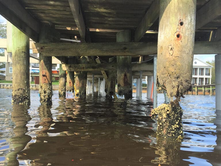 Advantages and Disadvantages of Timber Piles - Fender Marine Construction